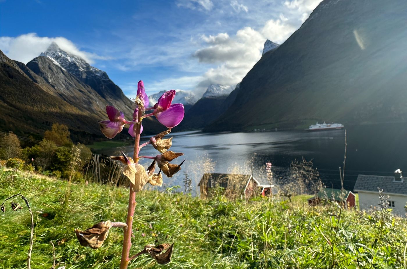 Visiting Urke with Hurtigruten