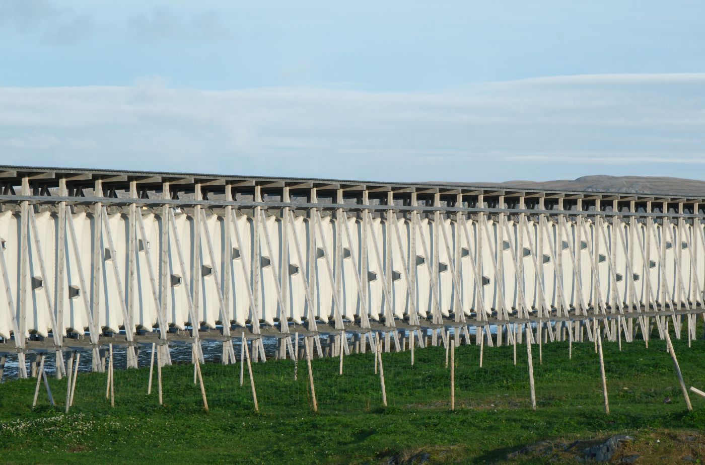 The Witchcraft Trials of Vardø