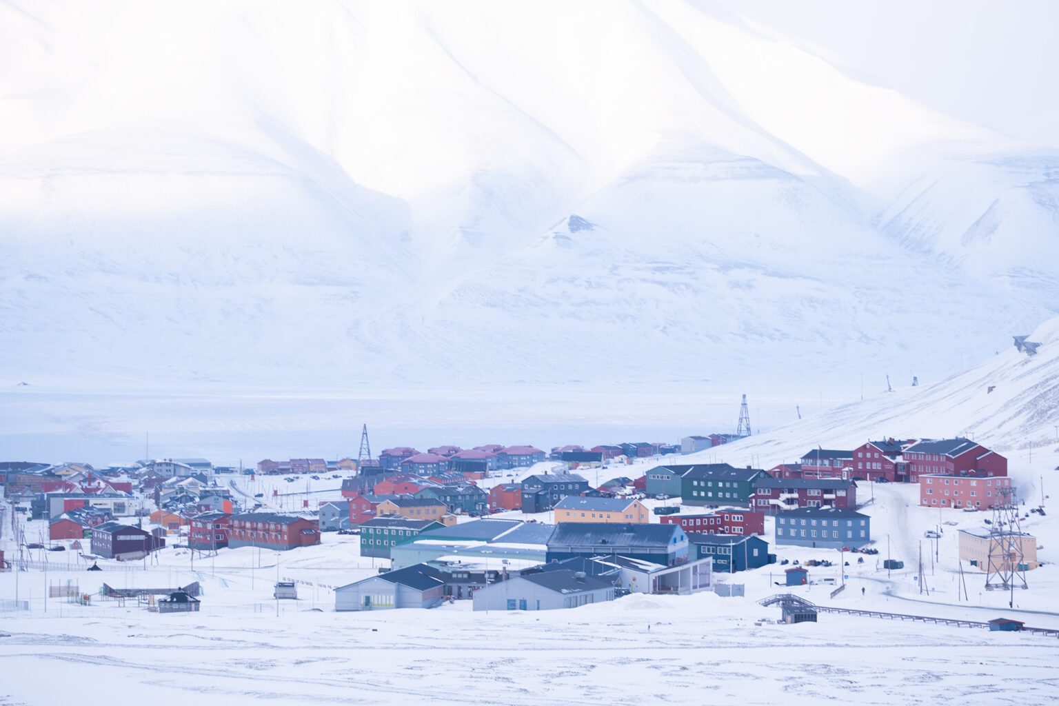 Unique Facts about Life on Svalbard - The Hidden North