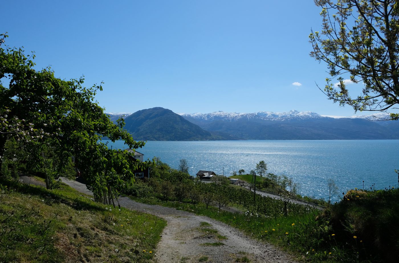 The Ultimate 7-Day Fjord Road-trip in Norway - The Hidden North